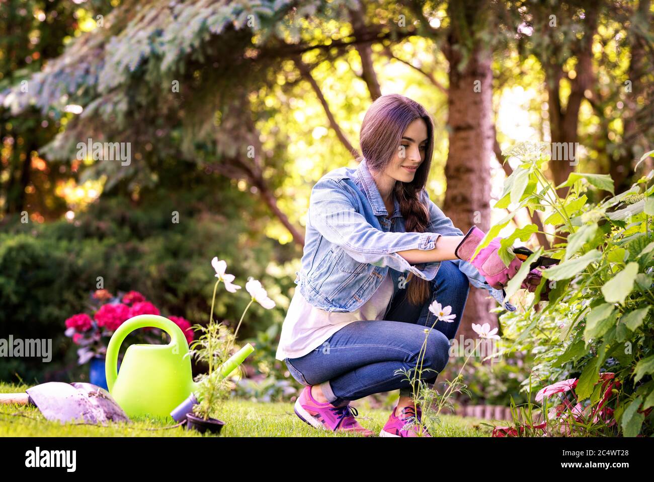 Pruning activities hi-res stock photography and images - Alamy