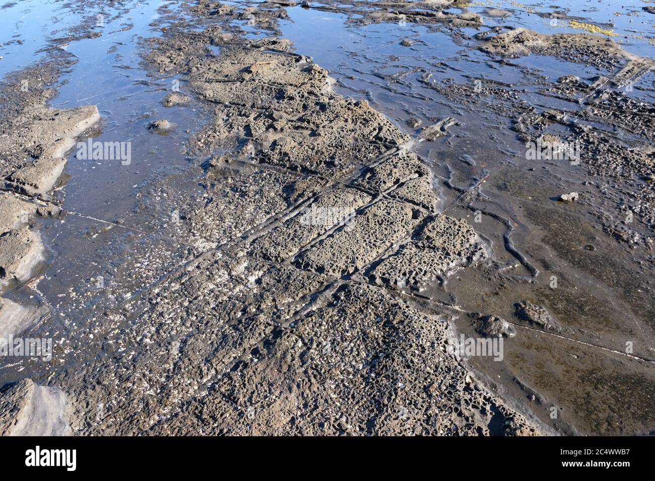 Looking down at a section of rock shelf, by the sea, showing the ...