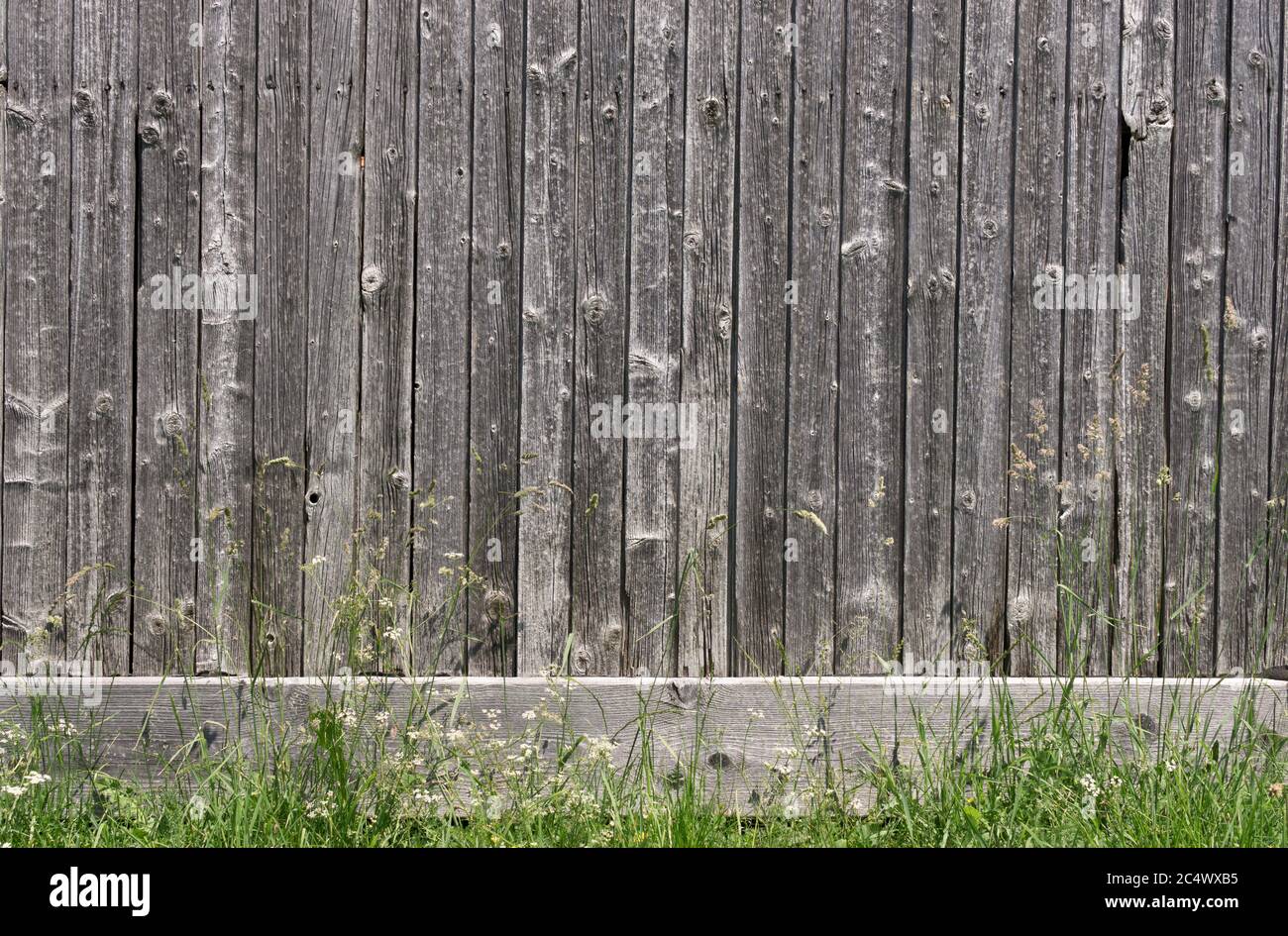 Natural grey barn wood wall with grass flower meadow foreground. Wall ...