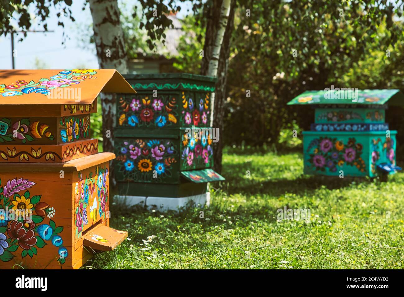 Beekeeping tourism hi-res stock photography and images - Alamy