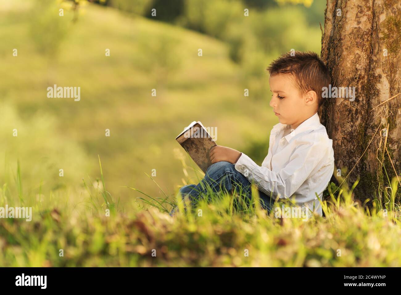 the boy reads a book leaning against a tree Stock Photo - Alamy