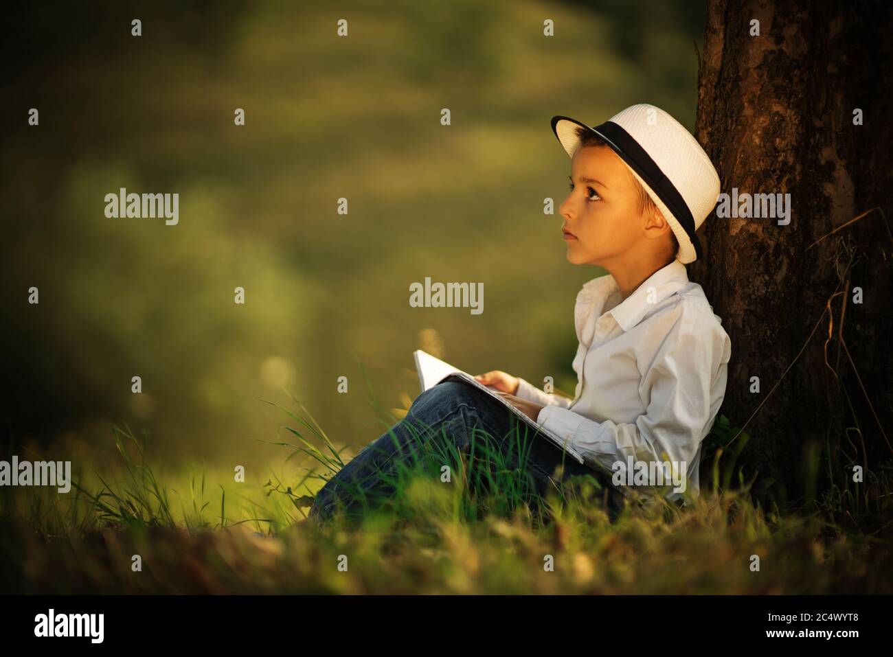 the boy reads a book leaning against a tree Stock Photo - Alamy