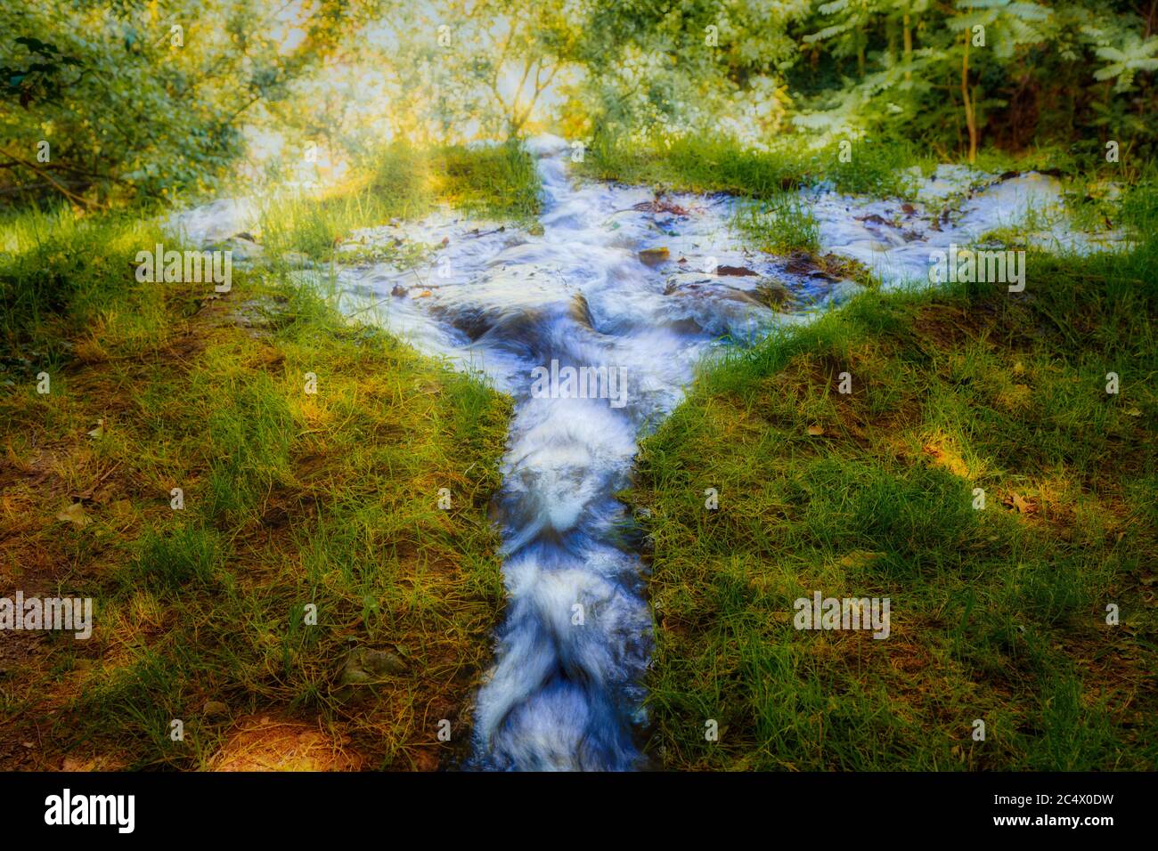 Slow motion grass hi-res stock photography and images - Alamy