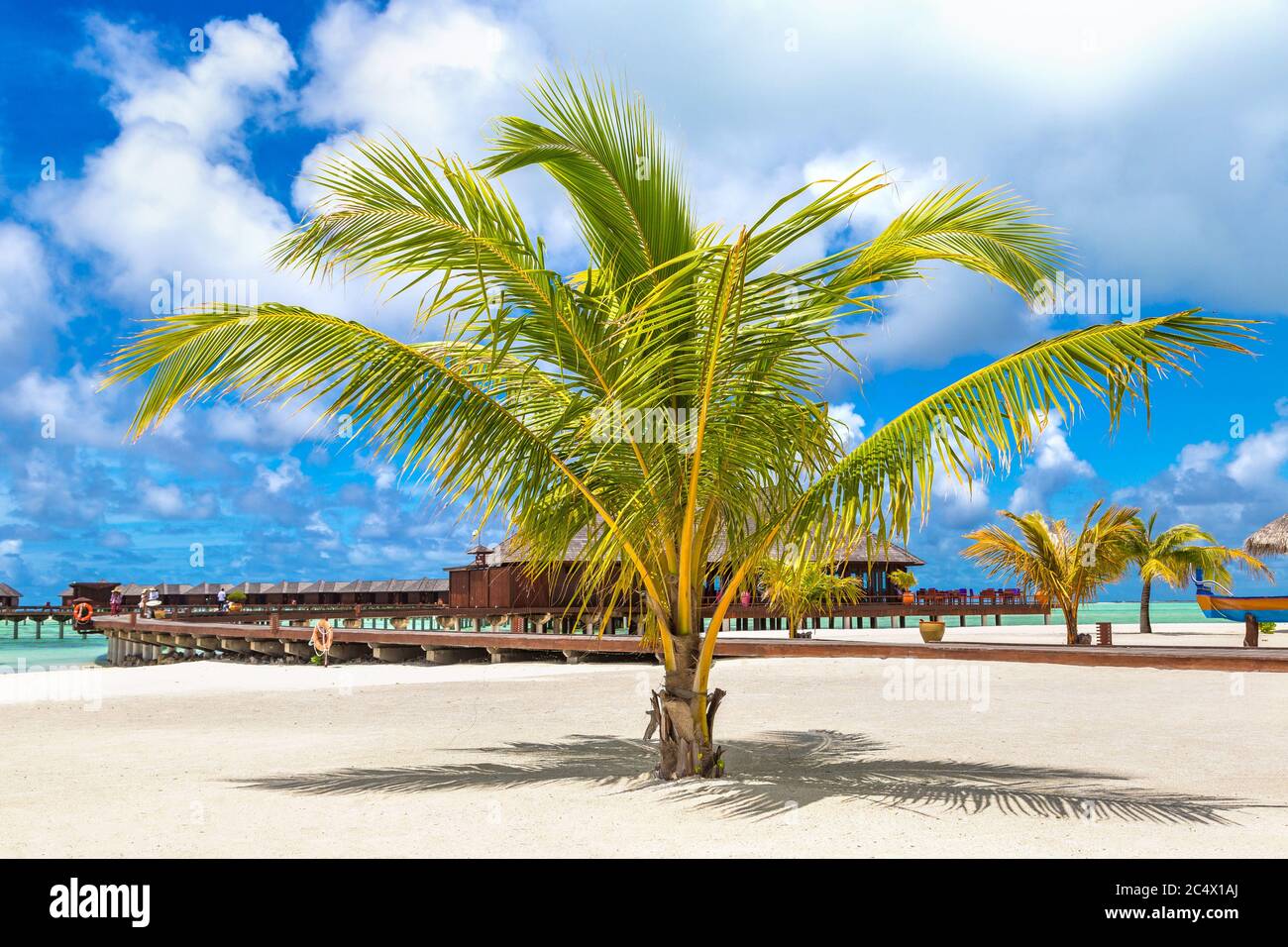 MALDIVES - JUNE 24, 2018: Palm tree at Tropical beach in the Maldives ...