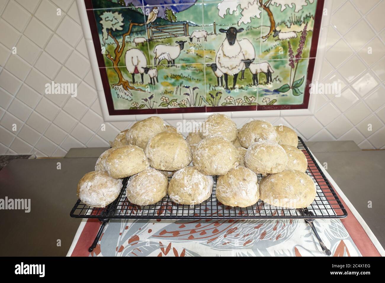 Crusty fresh bread rolls on tray straight out of the oven, UK Stock ...
