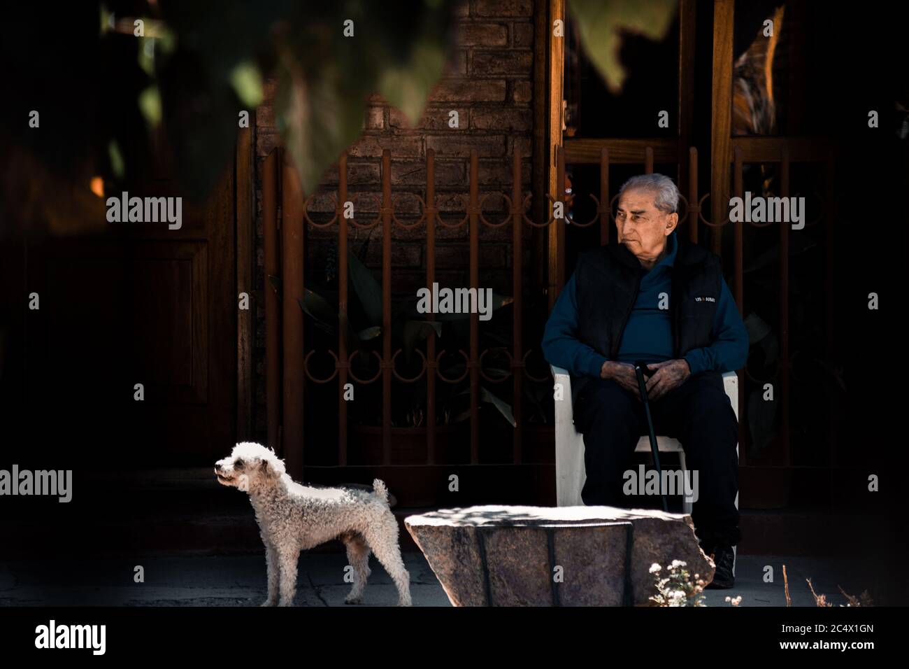 old man moody & dog Stock Photo - Alamy