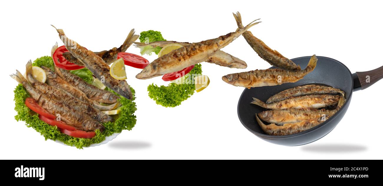 flying fried fish falls into the plate. Food levitation concept. Fried ...