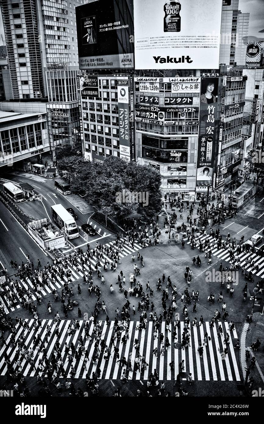 Aerial view of famous Shibuya Crossing, Shibuya, Tokyo, Japan Stock ...