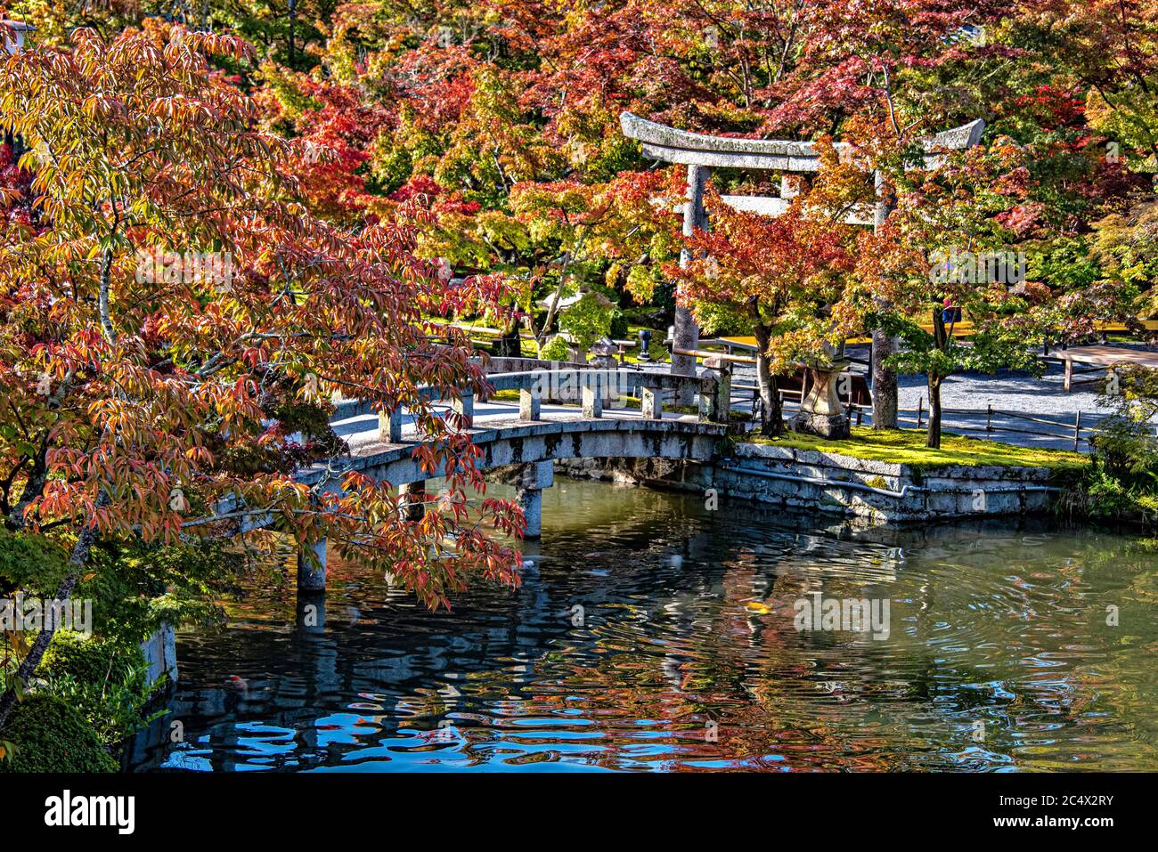 Autumn foliage in Eikan-dō Zenrin-ji, Eikando temple, Kyoto, Japan ...