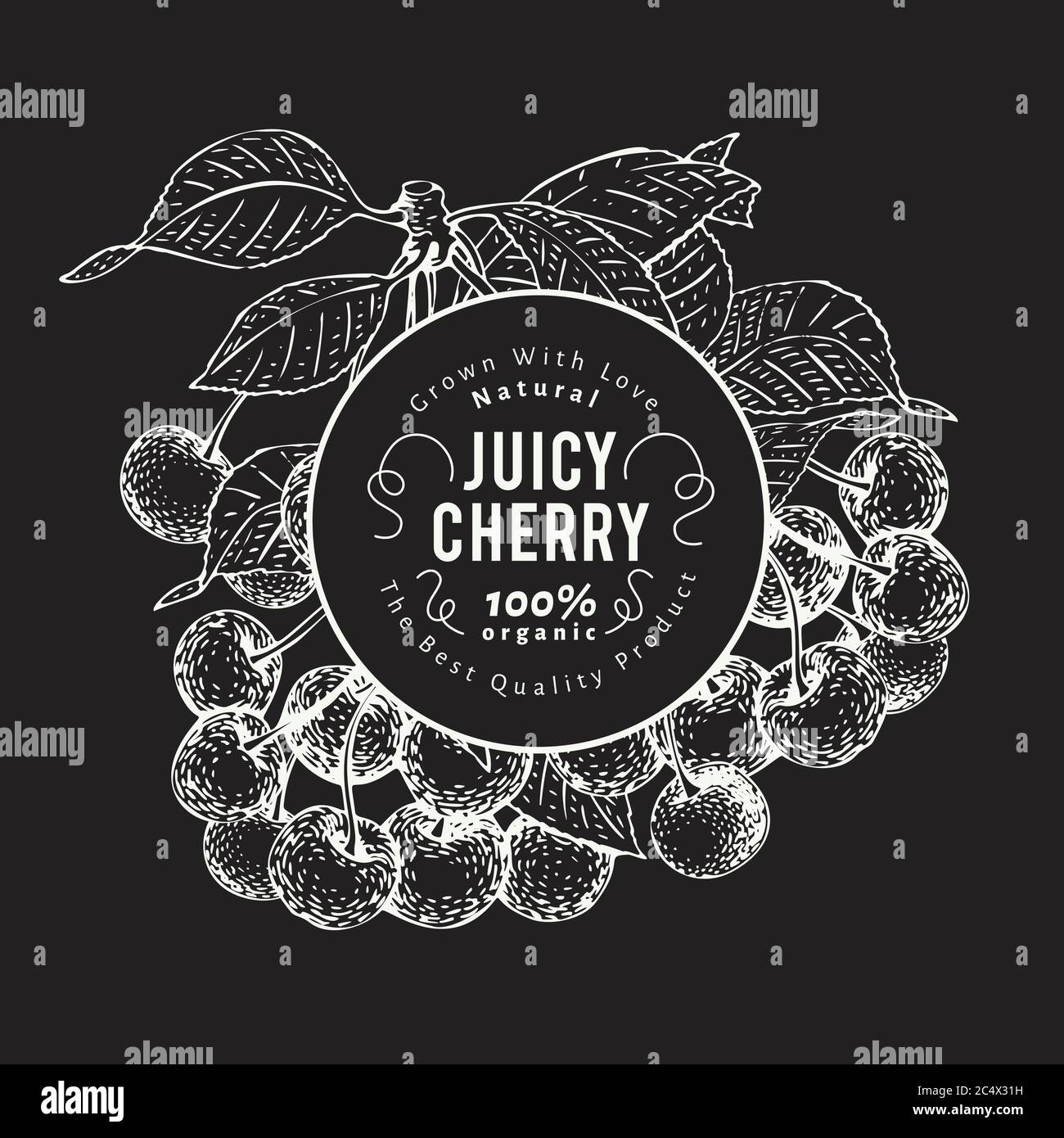 Cherry berry design template. Hand drawn vector fruit illustration on ...