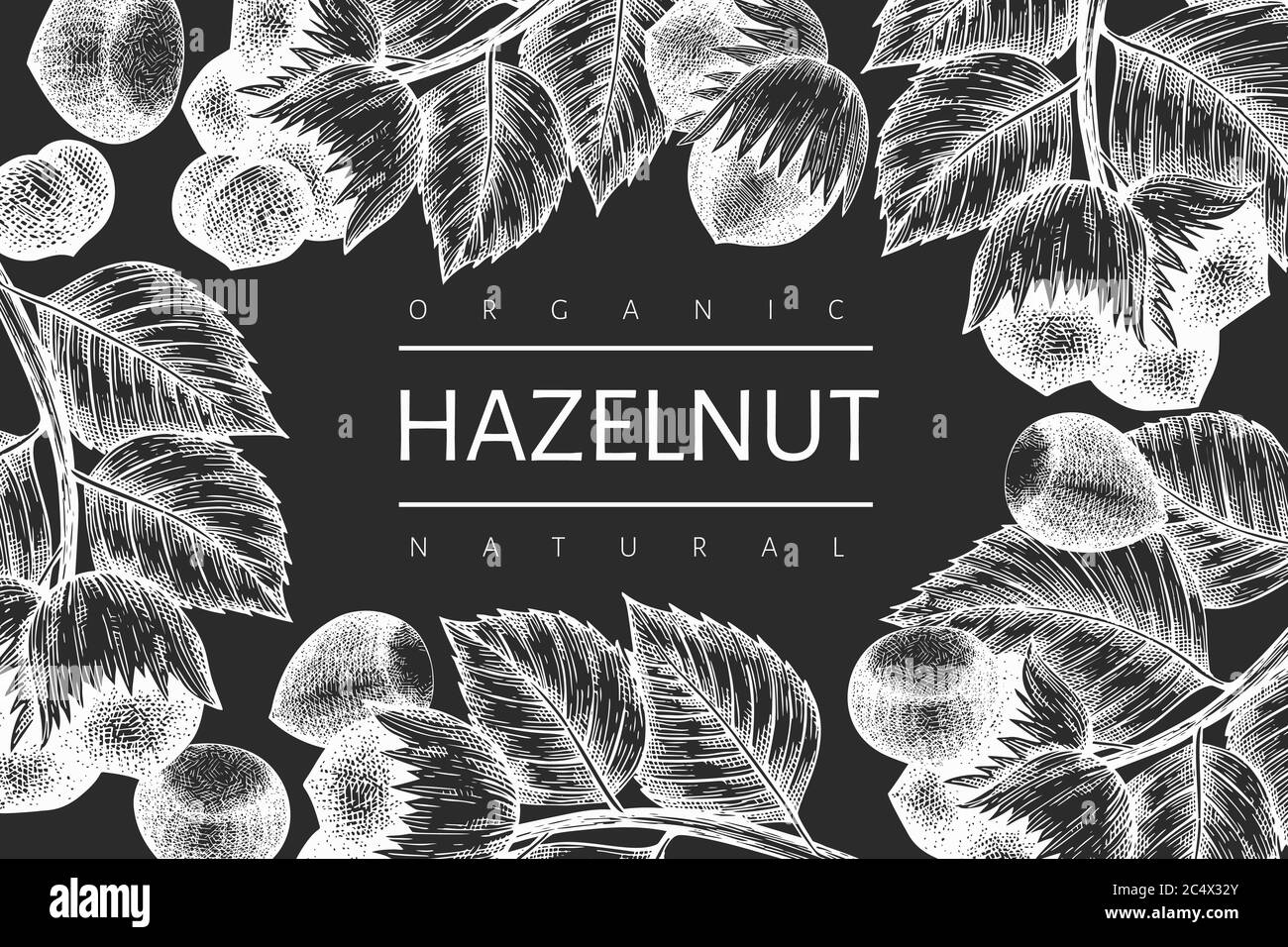 Hand drawn sketch hazelnut design template. Organic food vector ...