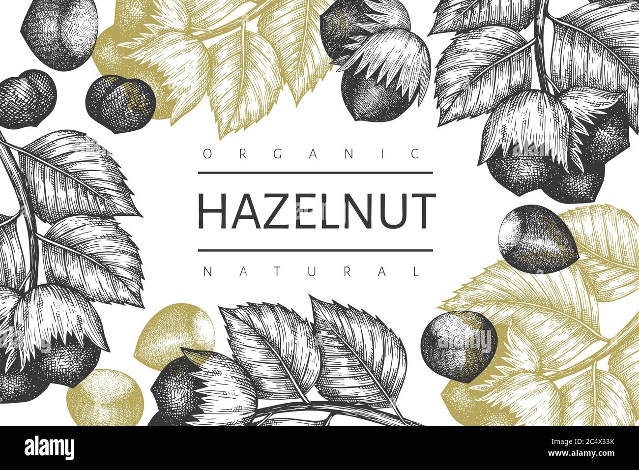 Hand drawn sketch hazelnut design template. Organic food vector ...