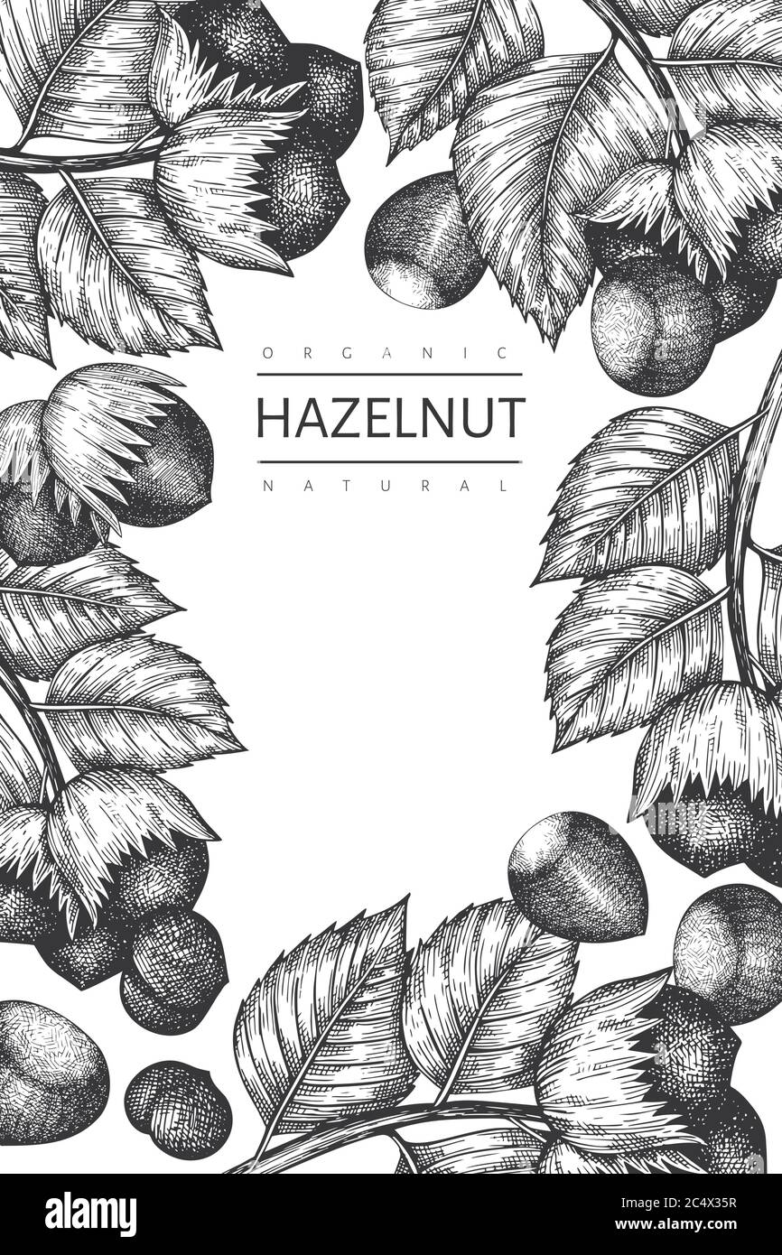 Hand drawn sketch hazelnut design template. Organic food vector ...