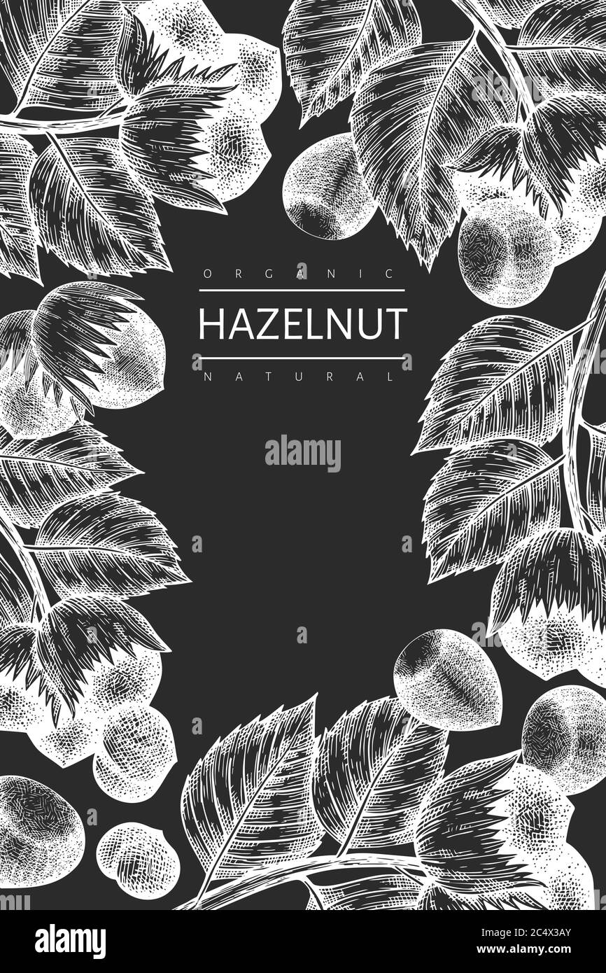 Hand drawn sketch hazelnut design template. Organic food vector ...