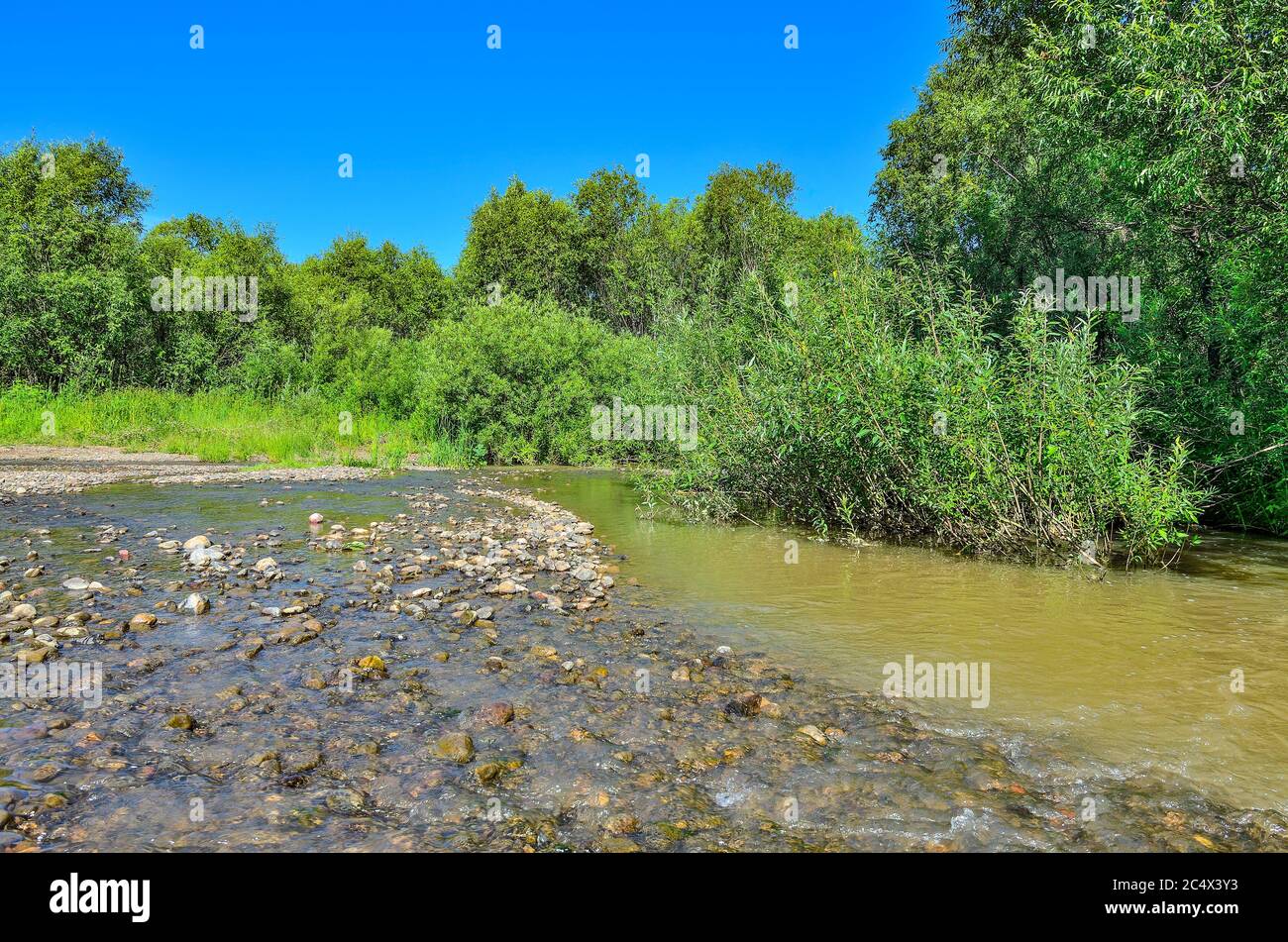 Shallow summer river hi-res stock photography and images - Alamy