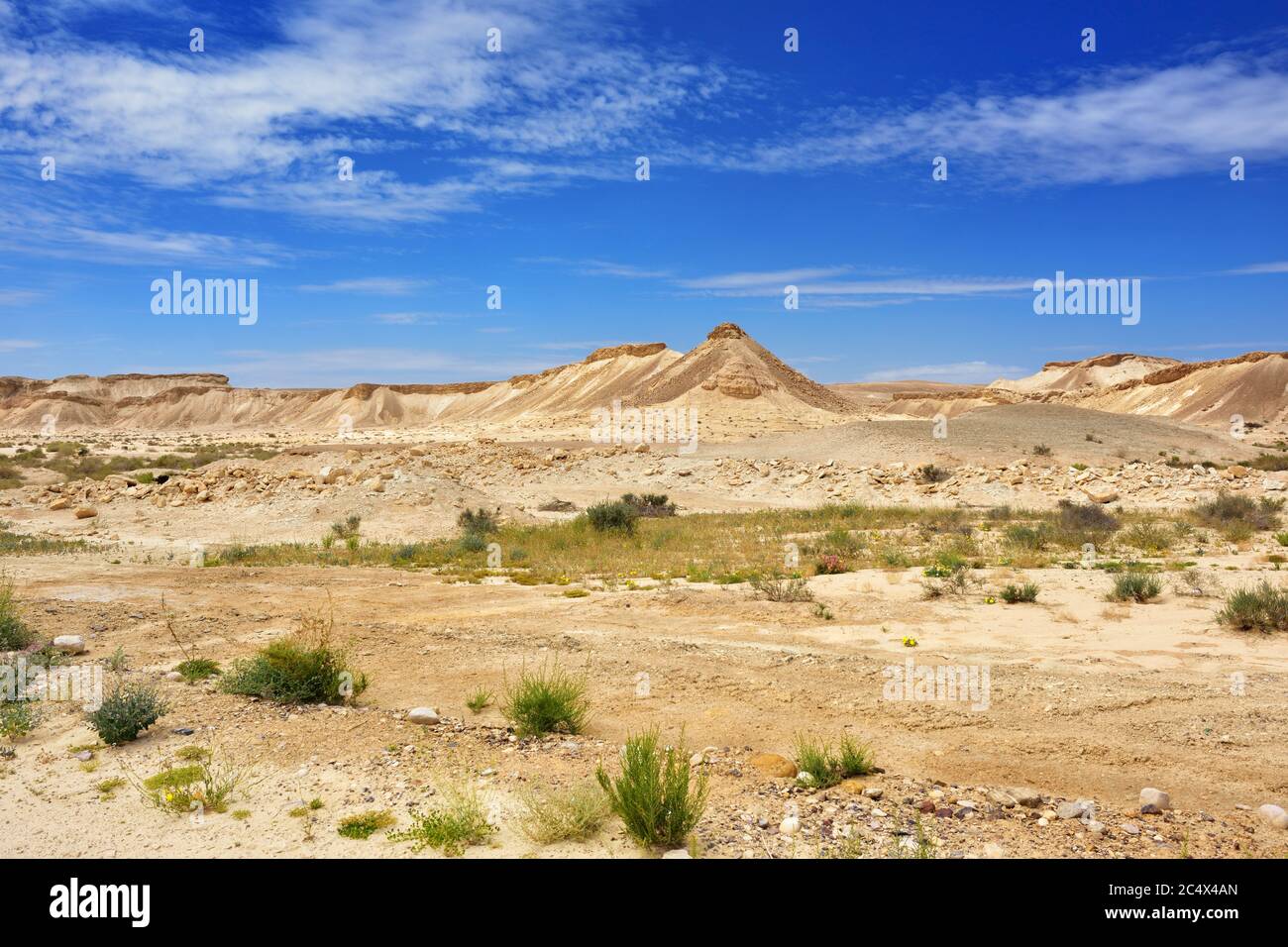 The Negev desert at spring time, Israel Stock Photo - Alamy