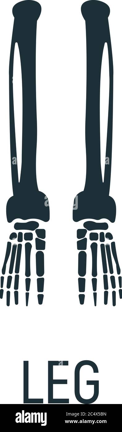 Leg bone, x-ray concept icon, roentgen human body image isolated on ...