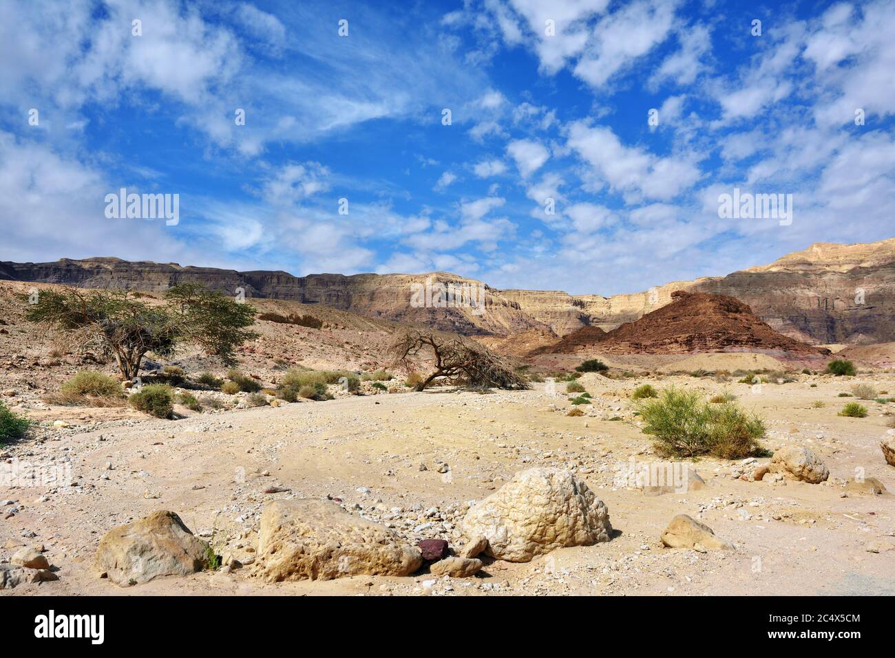 Beautiful landscape of the Negev desert, Israel Stock Photo - Alamy