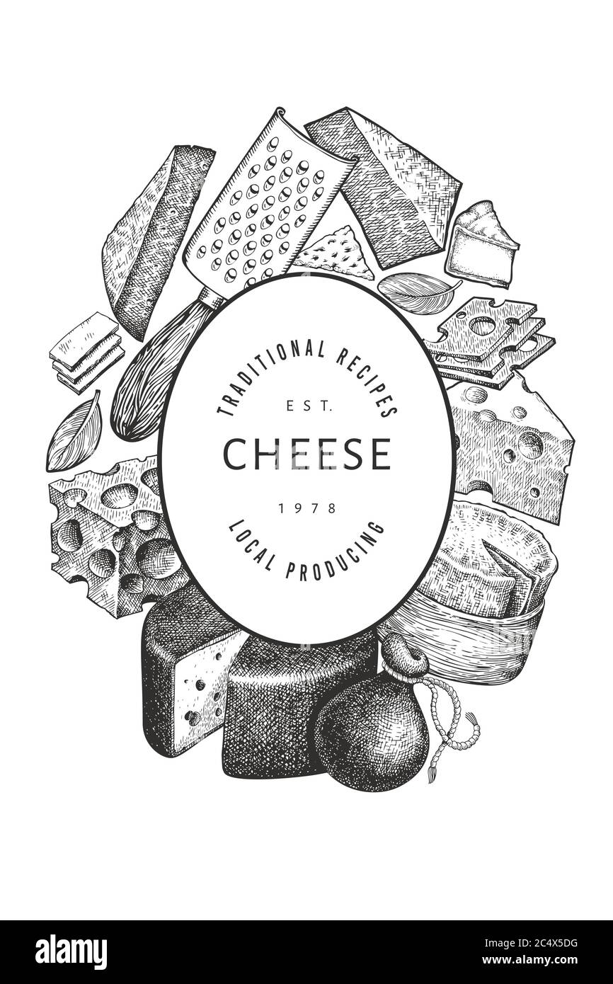 Cheese design template. Hand drawn vector dairy illustration. Engraved ...