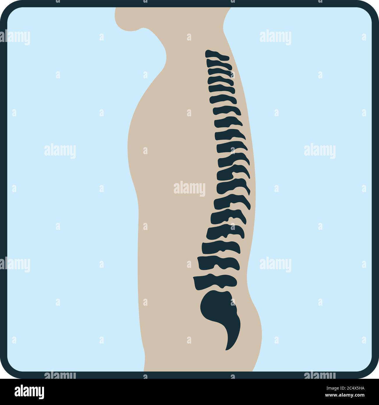 Spine backbone bone, x-ray concept icon, roentgen human body image ...