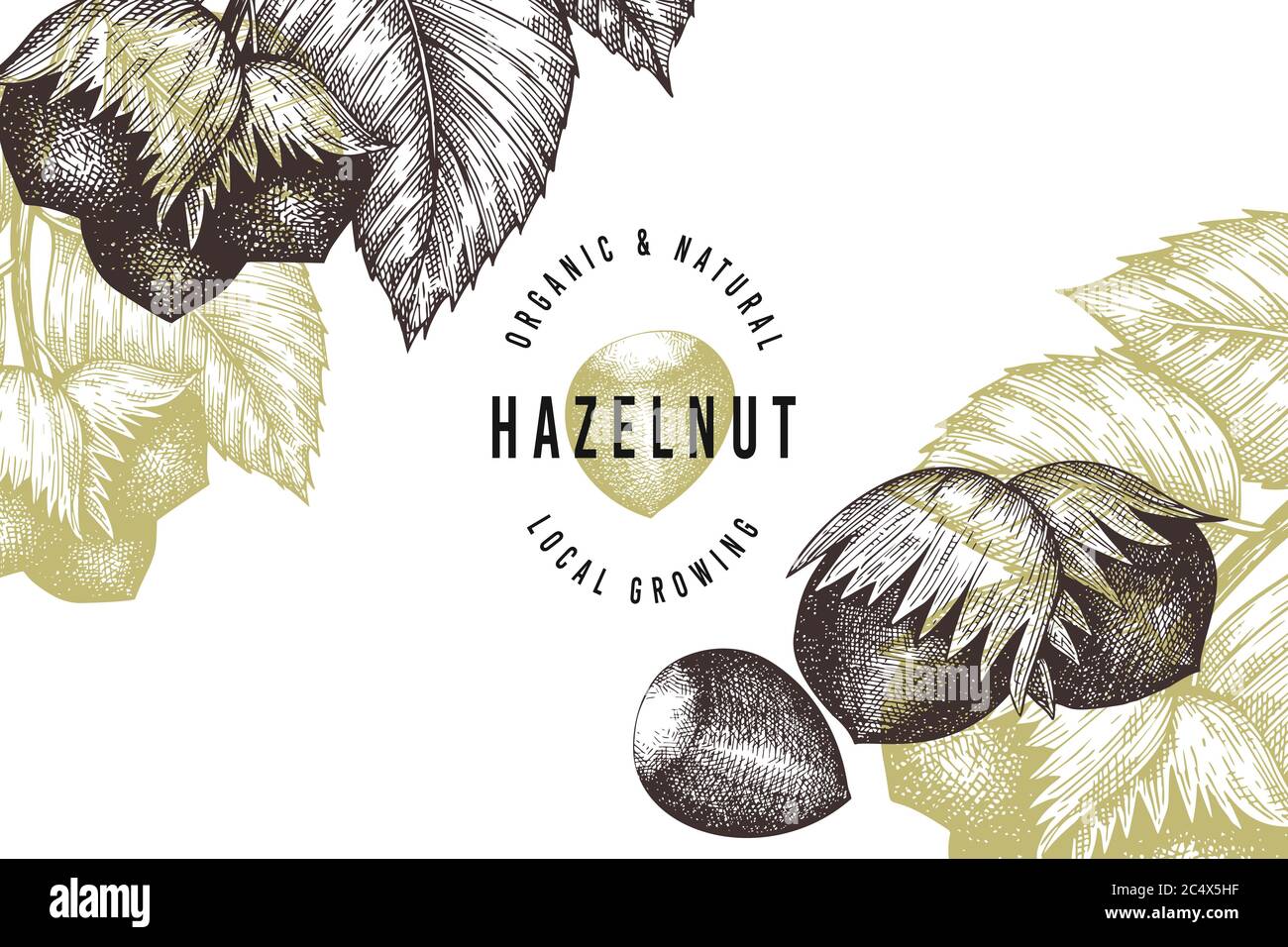 Hand drawn sketch hazelnut design template. Organic food vector ...
