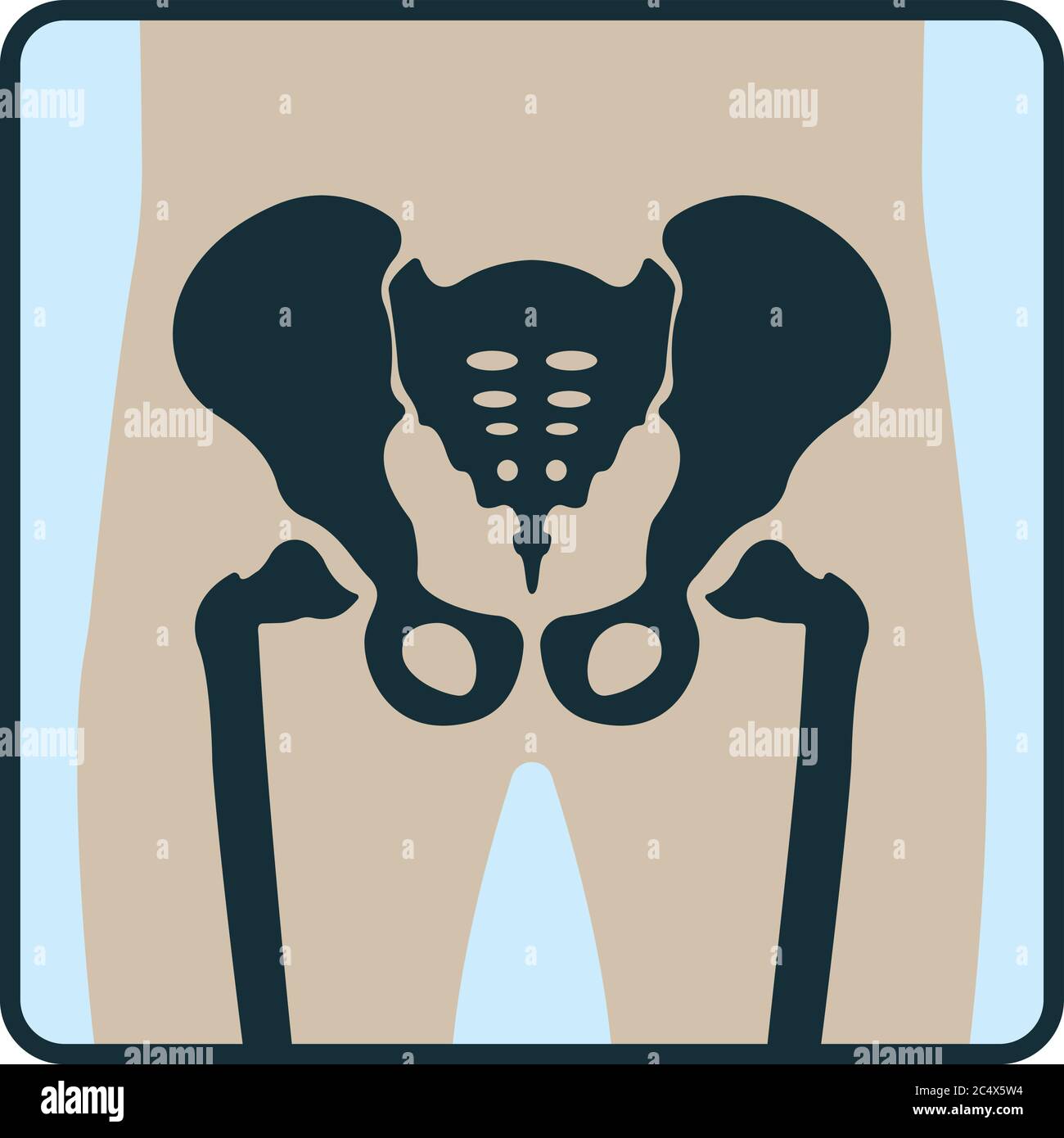 Pelvis Bone X Ray Concept Icon Roentgen Human Body Image Isolated On