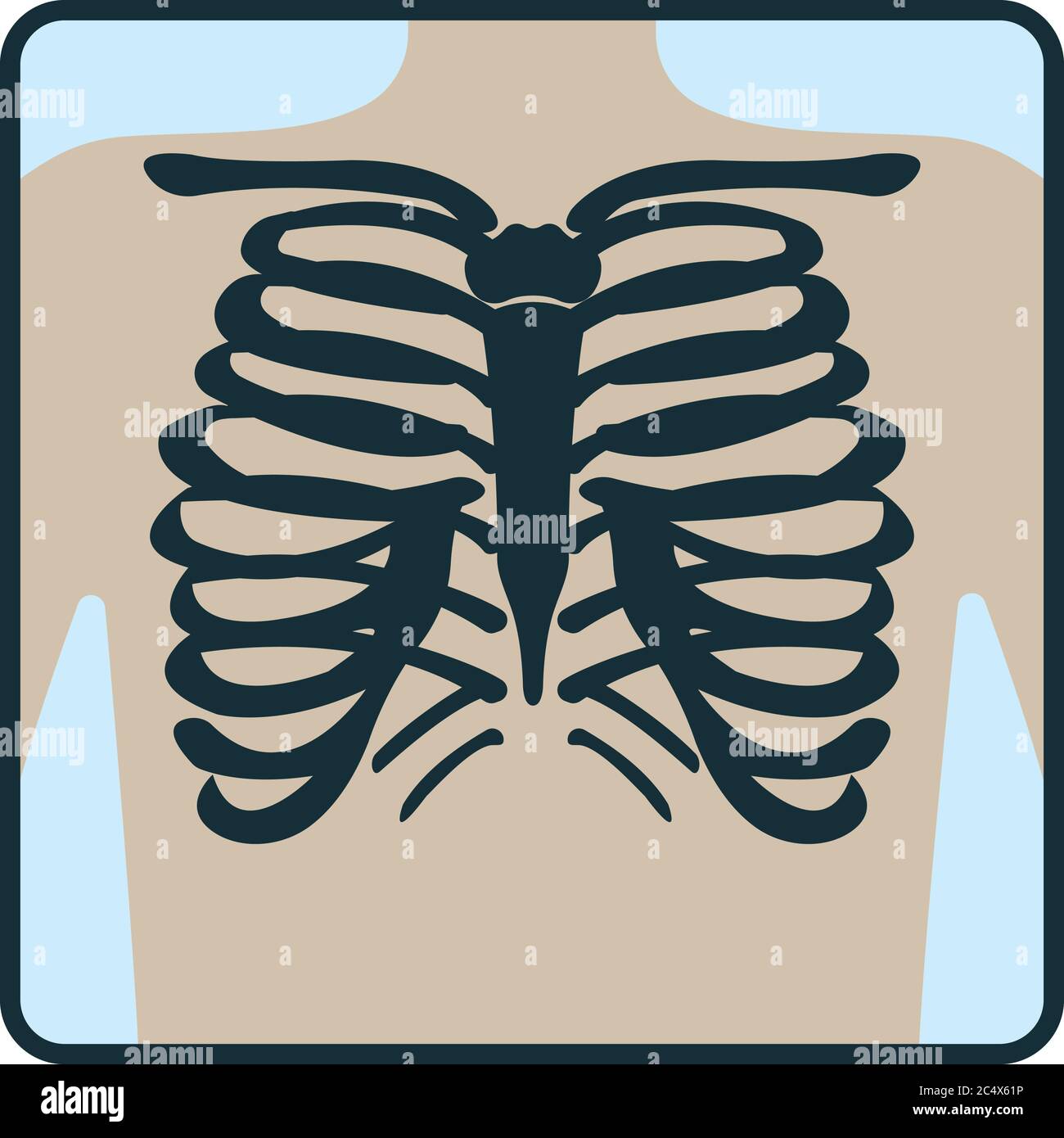 Thoracic cage bone, chest x-ray concept icon, roentgen human body image ...