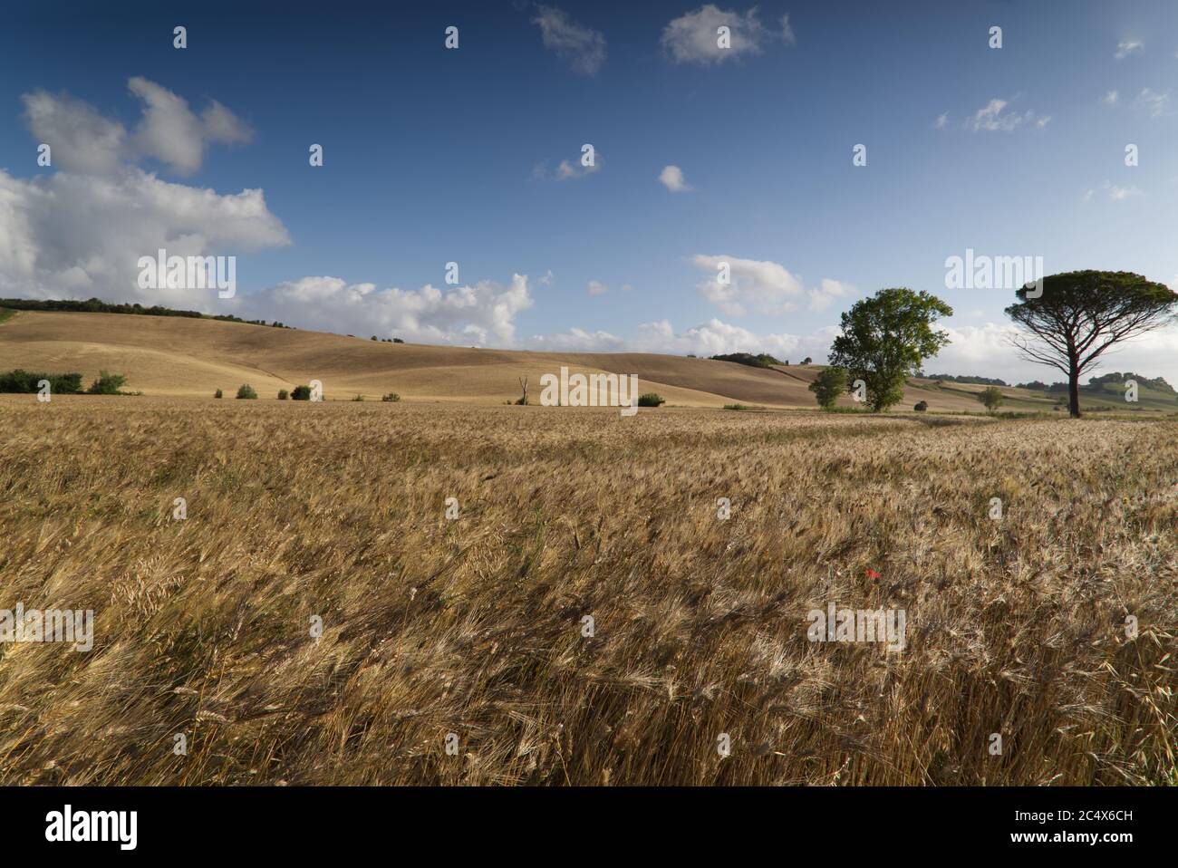 View of the Tuscan countryside Stock Photo - Alamy