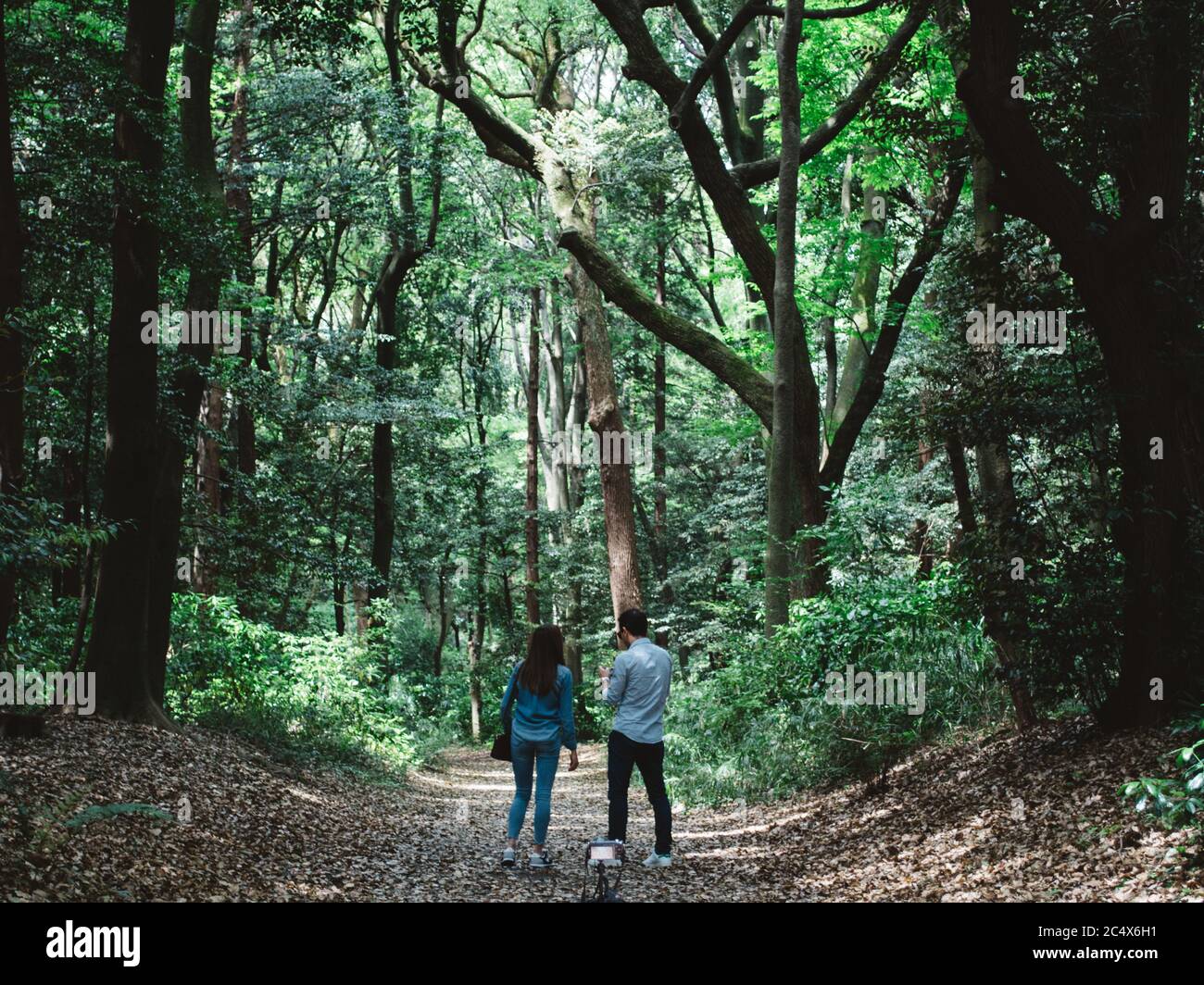 Meiji Shrine, Tokyo, Japan - A traveling couple in leafy green forest ...