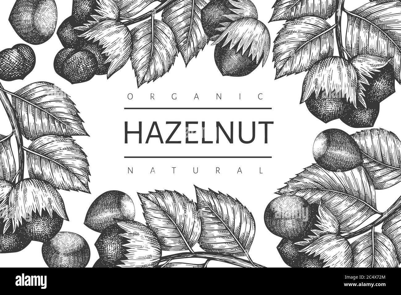 Hand drawn sketch hazelnut design template. Organic food vector ...