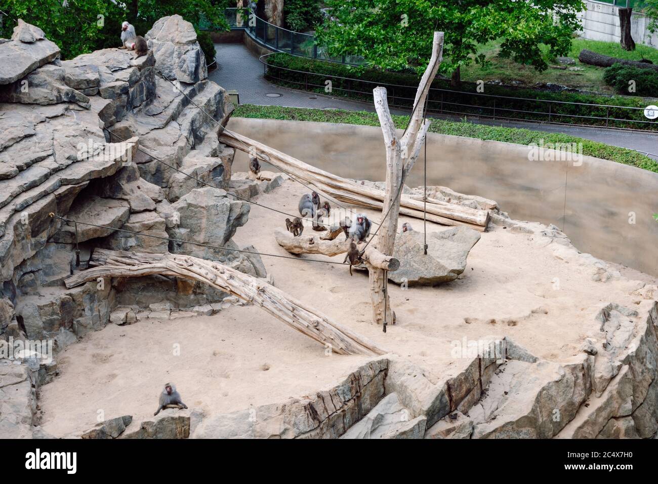 Monkeys at the Berlin Zoo, seen from the terrace of the Bikini Berlin ...