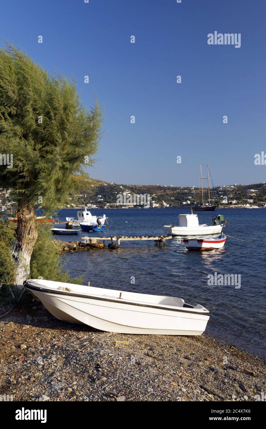 Alinta High Resolution Stock Photography and Images - Alamy