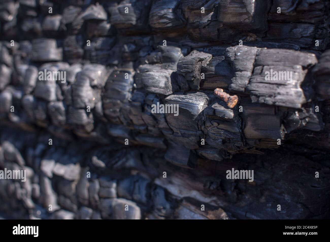 Natural fire ashes with dark grey black coals texture. It is a ...