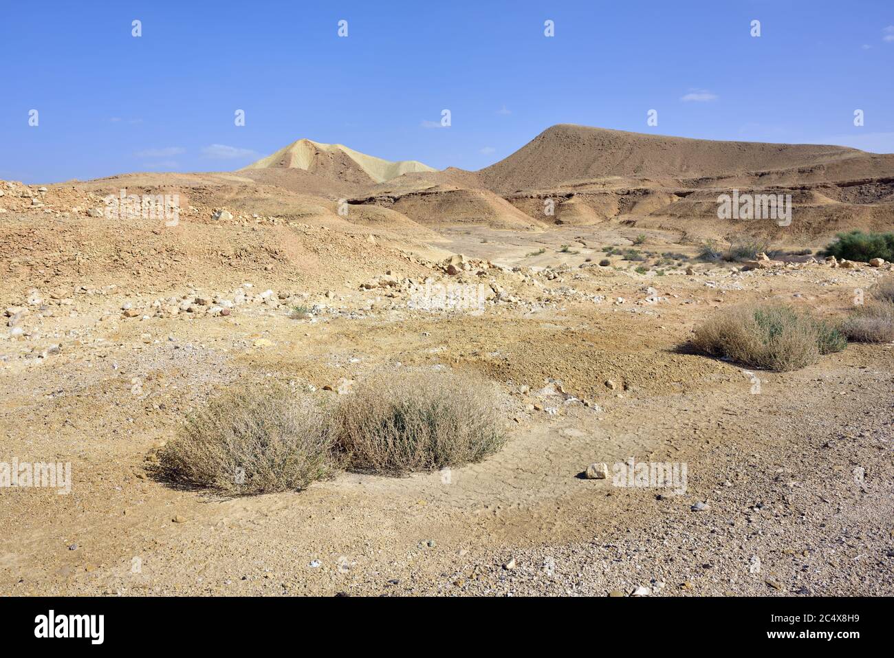 Landscape of the Negev desert at spring time, Israel Stock Photo - Alamy