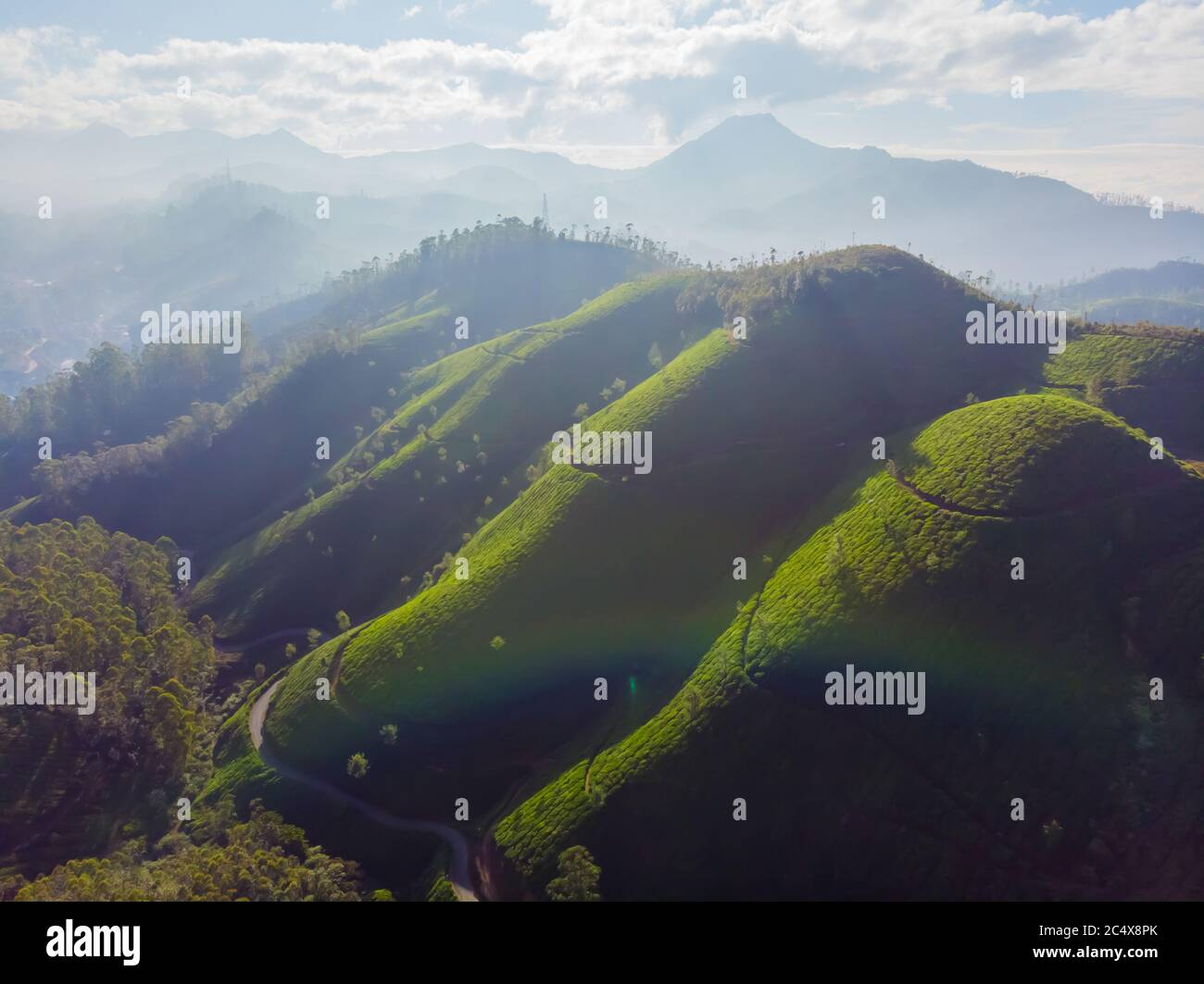 Aerial view of tea plantations near the city of Munar. India Stock ...