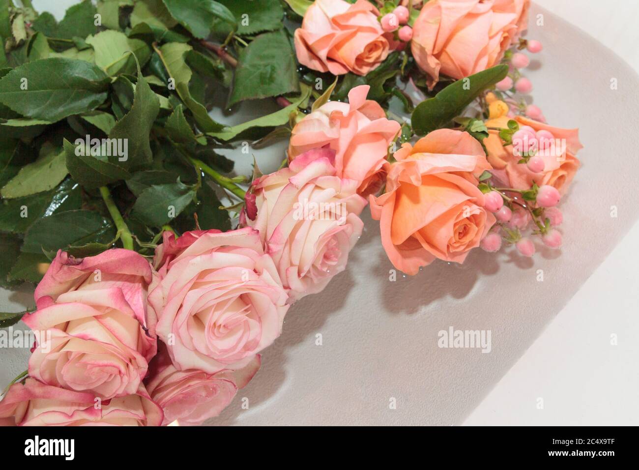 Pink delicate fresh roses lie in the water Stock Photo - Alamy