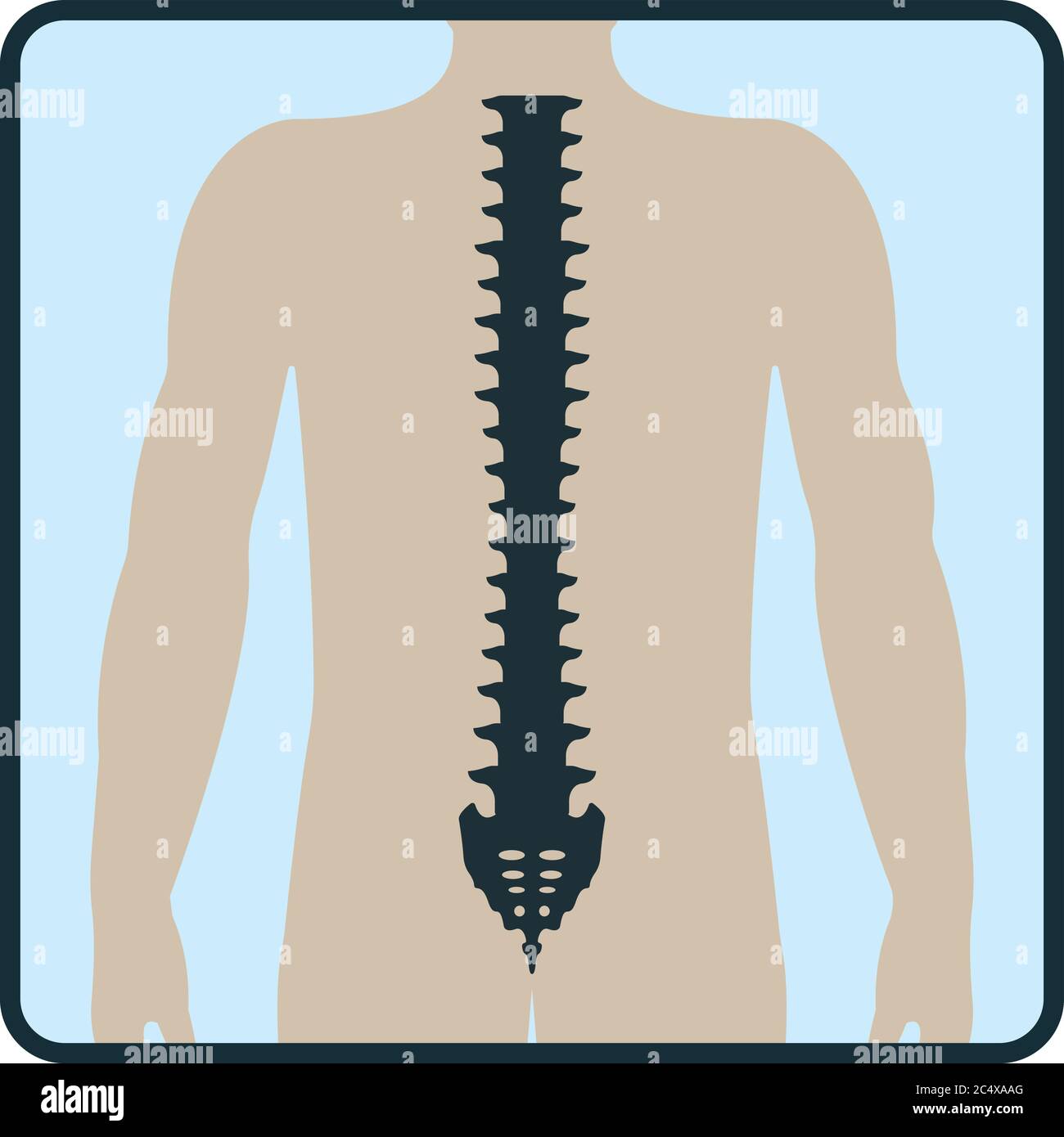 Spine backbone bone, x-ray concept icon, roentgen human body image ...
