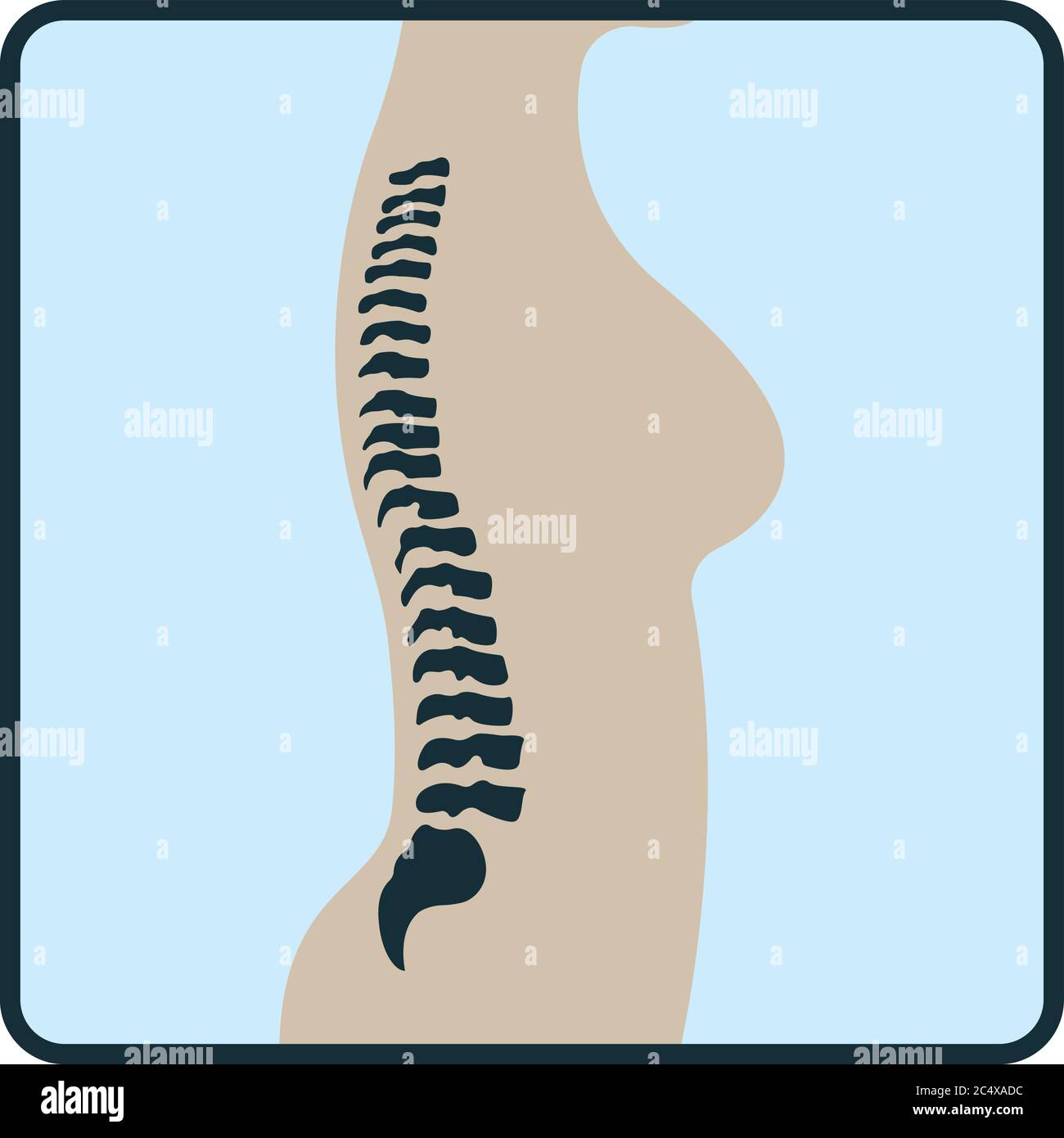 Spine backbone bone, x-ray concept icon, roentgen human body image ...