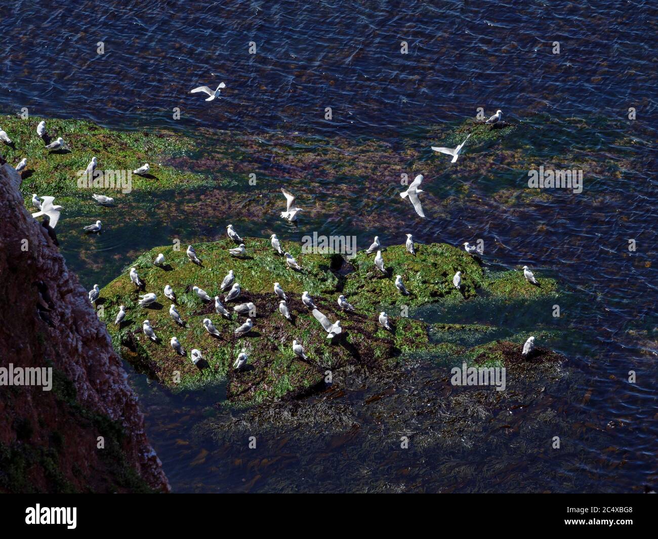 Nordsee watt insel hi-res stock photography and images - Alamy