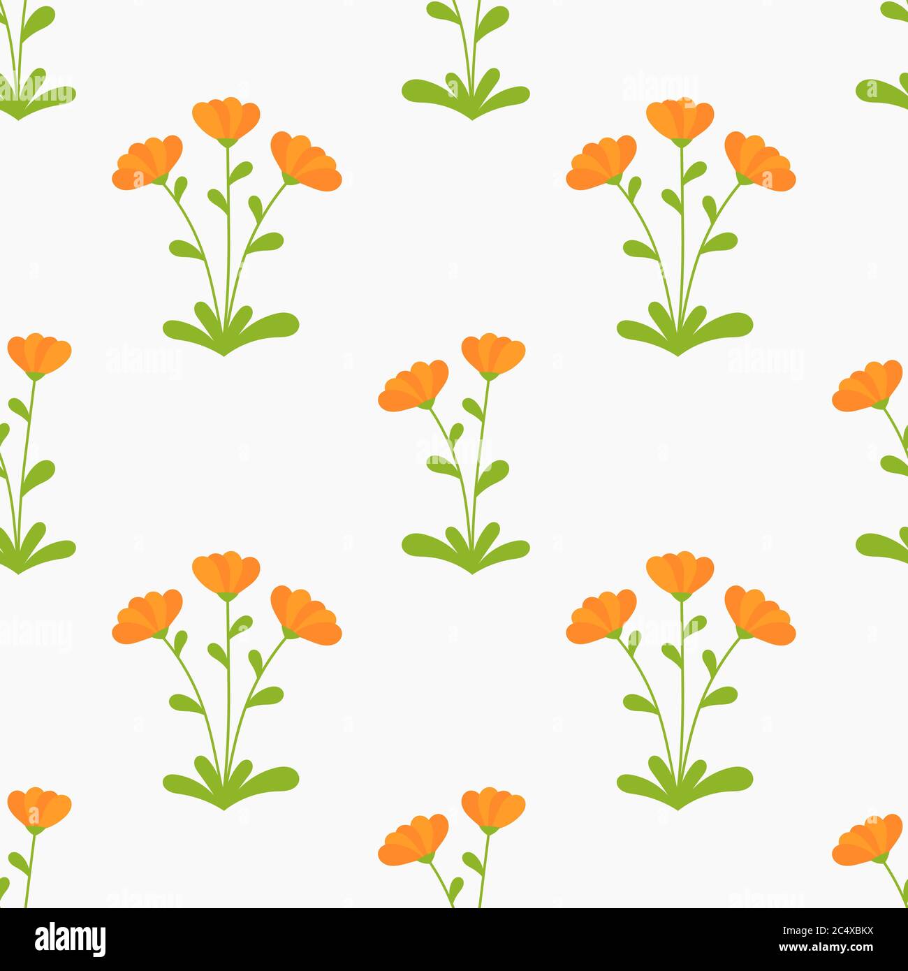 Orange Calendula flowers seamless pattern. Vector illustration Stock Vector Image & Art - Alamy