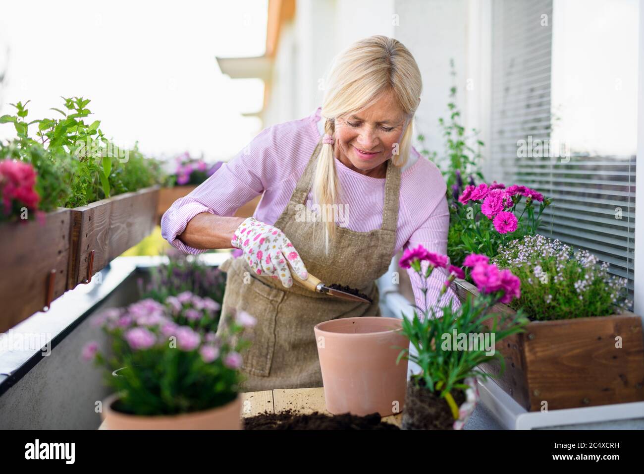 Woman planting balcony hi-res stock photography and images - Alamy