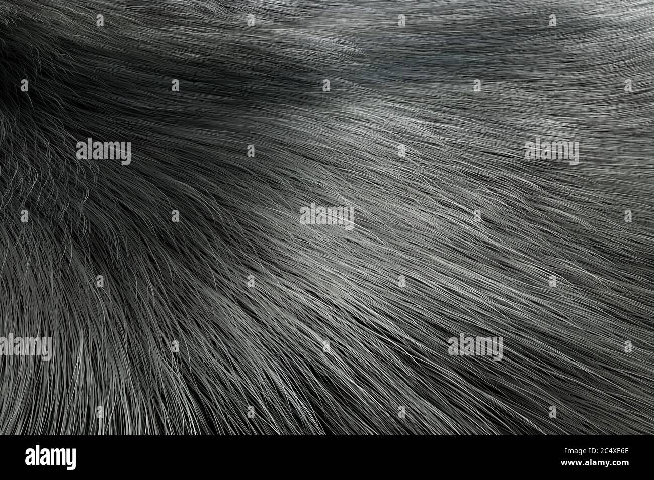 Silver fox fur coat hi-res stock photography and images - Alamy