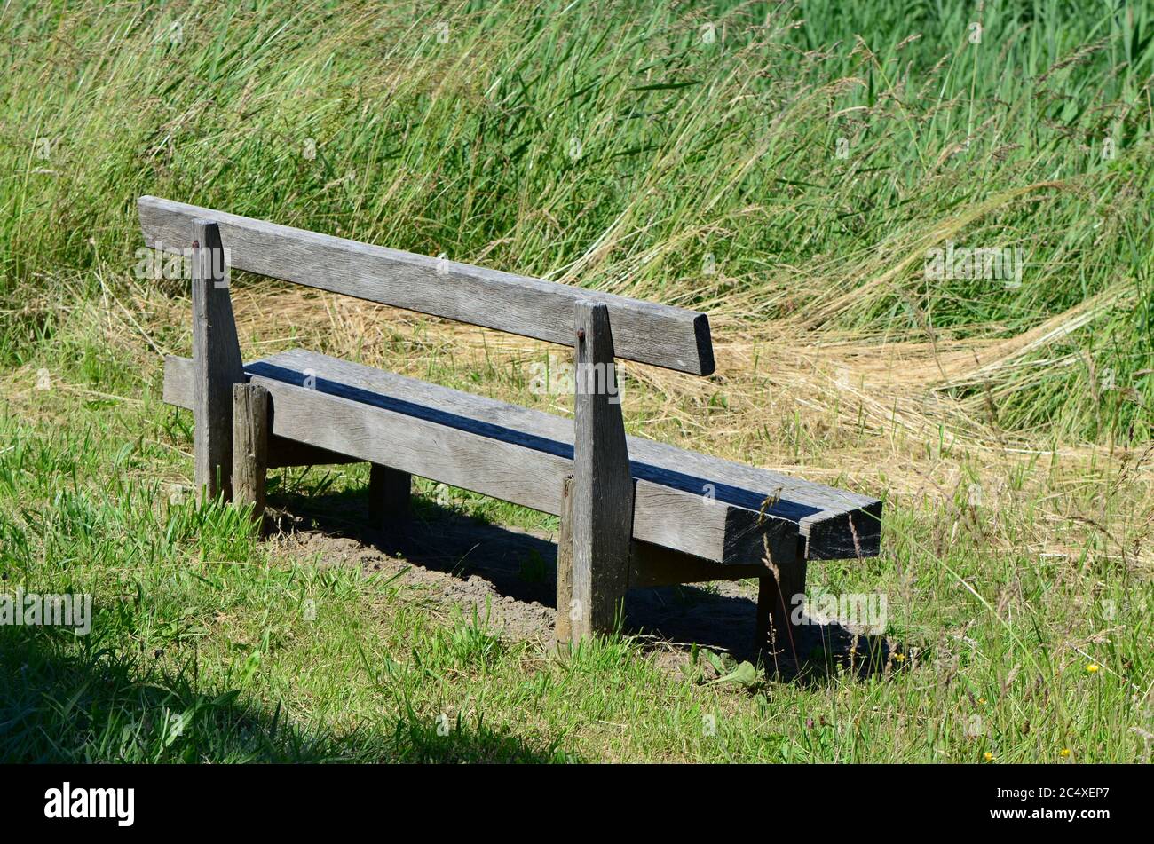 Wooden bench along the walkway surrounded by grass, in the ...