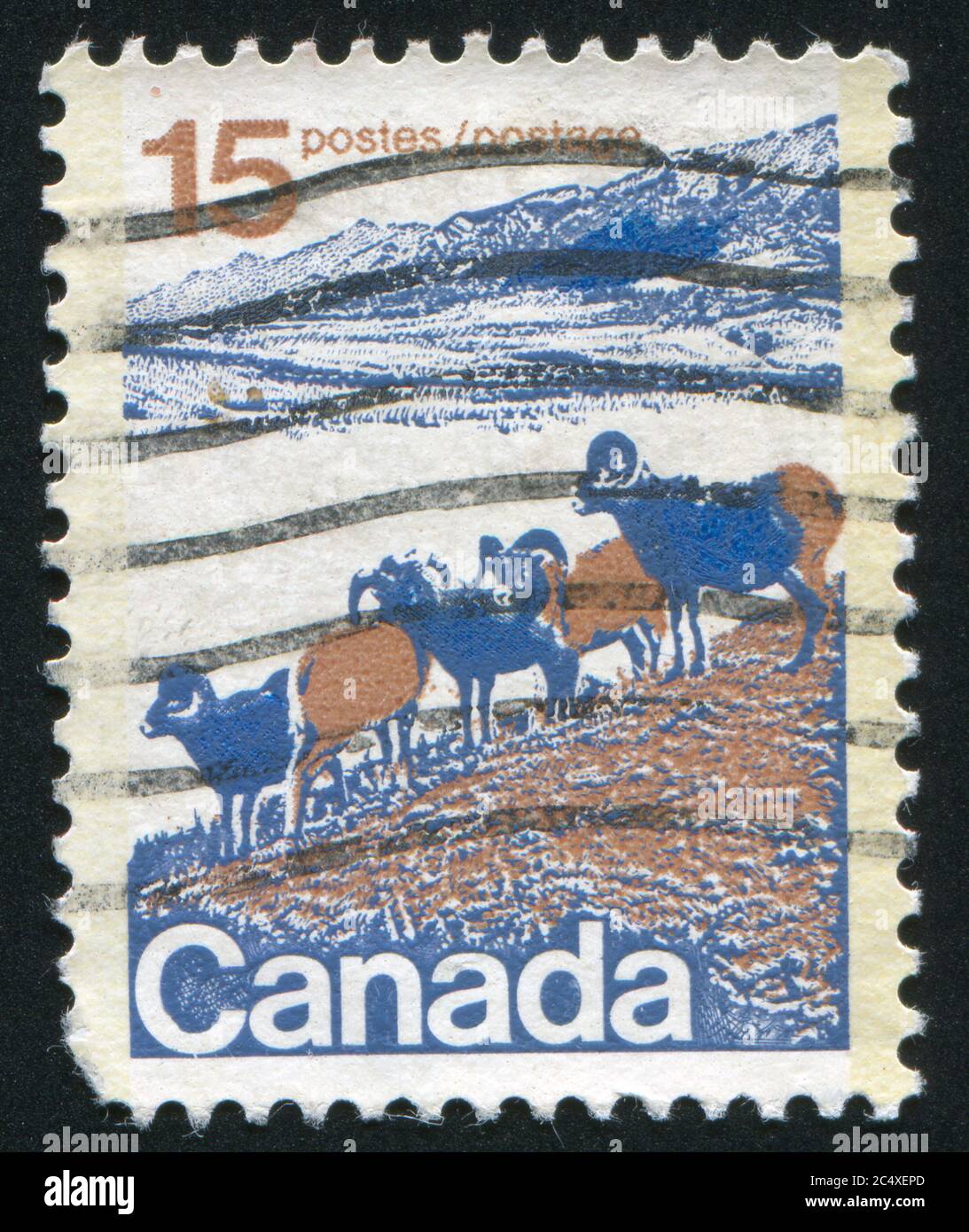 CANADA - CIRCA 1972: stamp printed by Canada, shows Mountain sheep ...