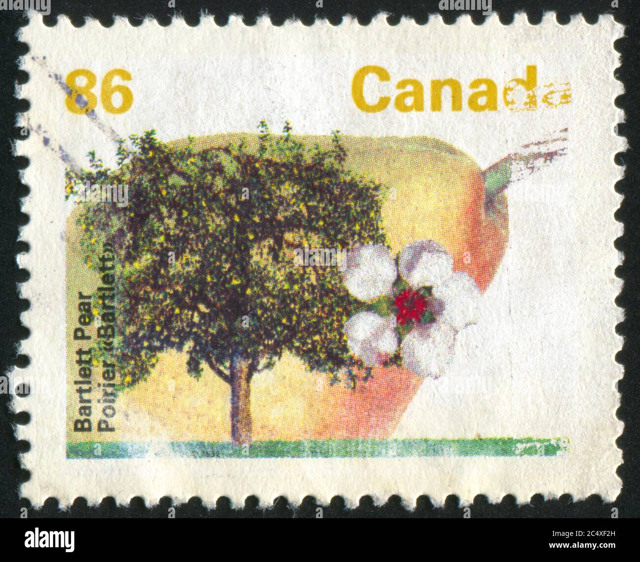 CANADA - CIRCA 1992: stamp printed by Canada, shows tree and flower ...