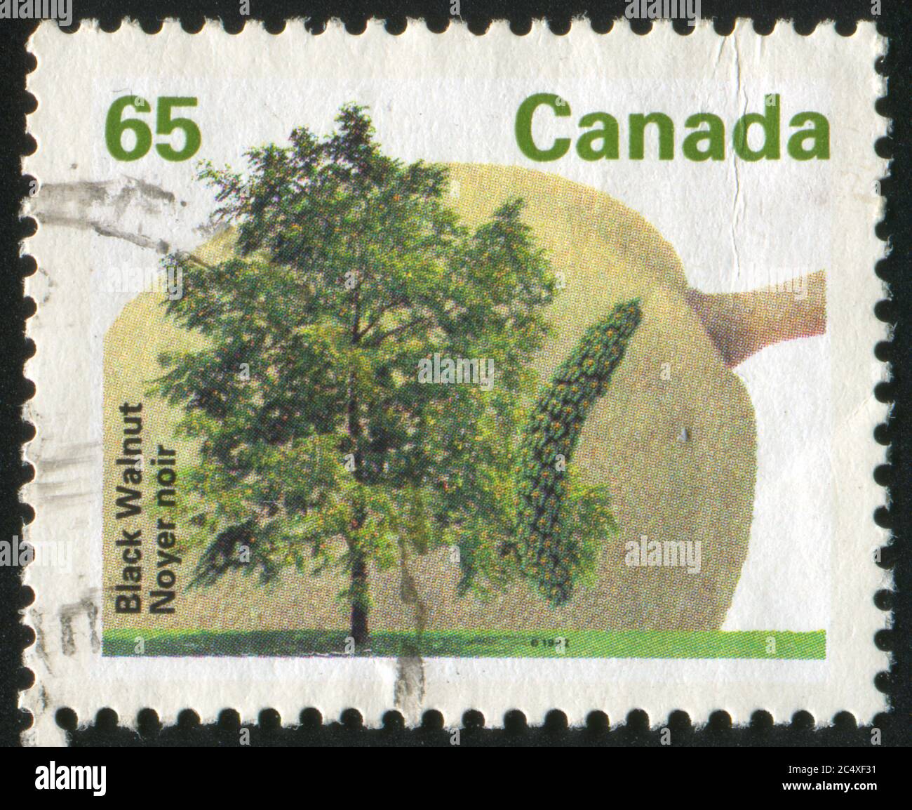 CANADA - CIRCA 1992: stamp printed by Canada, shows tree and flower ...
