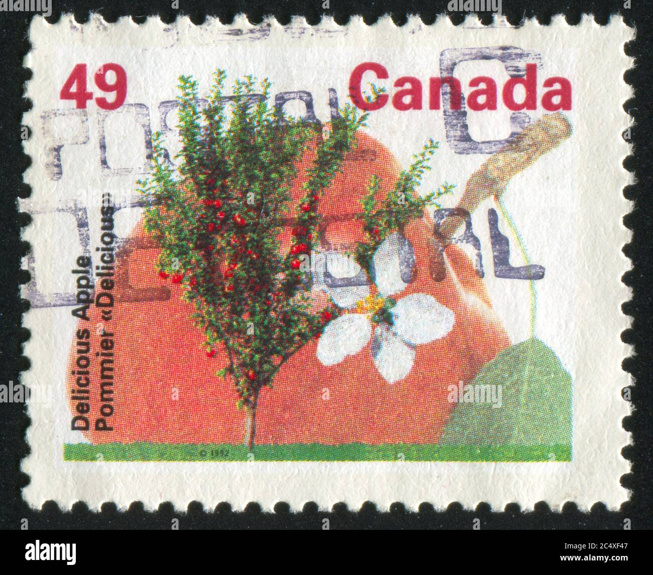 CANADA - CIRCA 1992: stamp printed by Canada, shows tree and flower ...