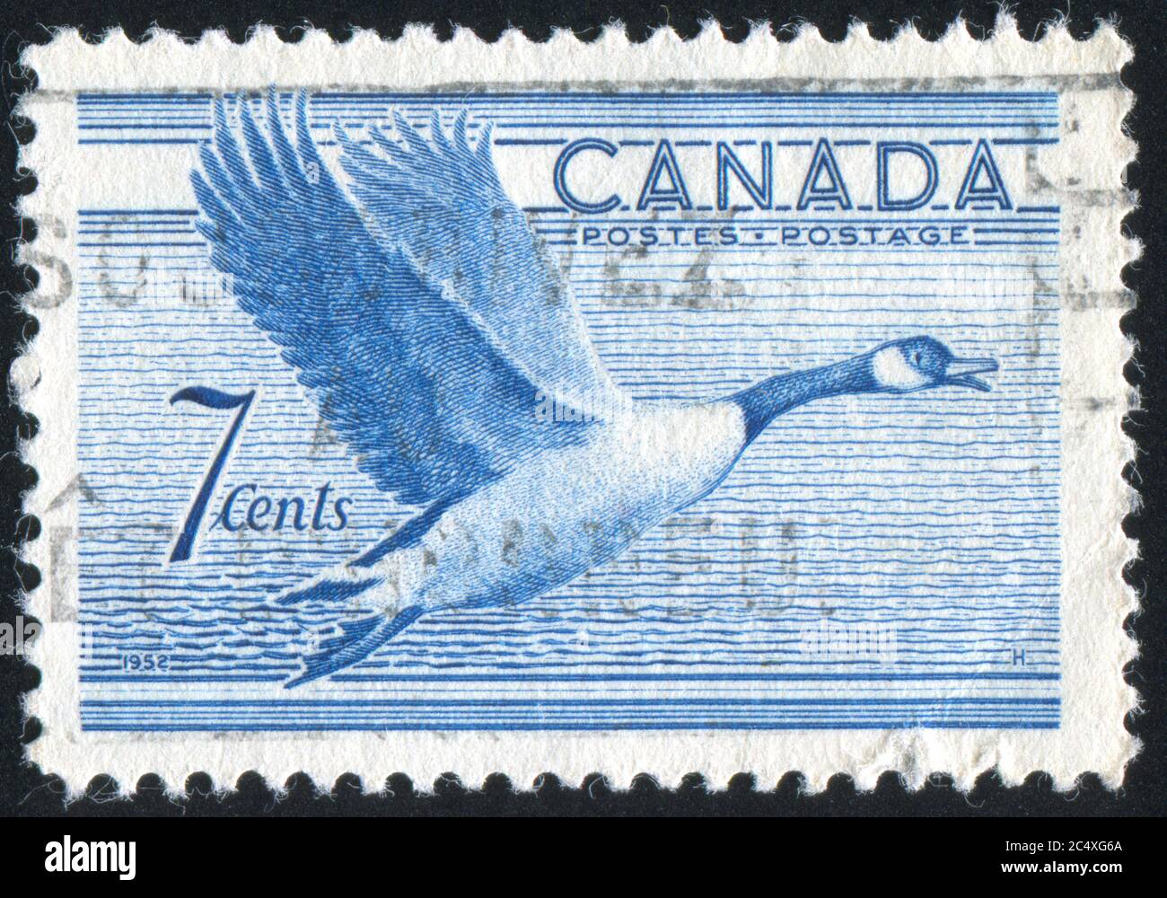 CANADA - CIRCA 1952: stamp printed by Canada, shows duck, circa 1952 ...