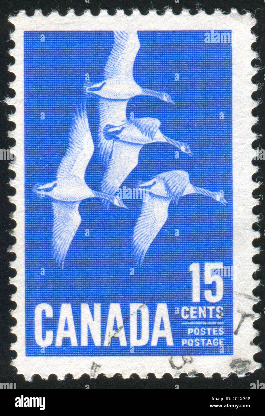 CANADA - CIRCA 1963: stamp printed by Canada, shows goose, circa 1963 ...