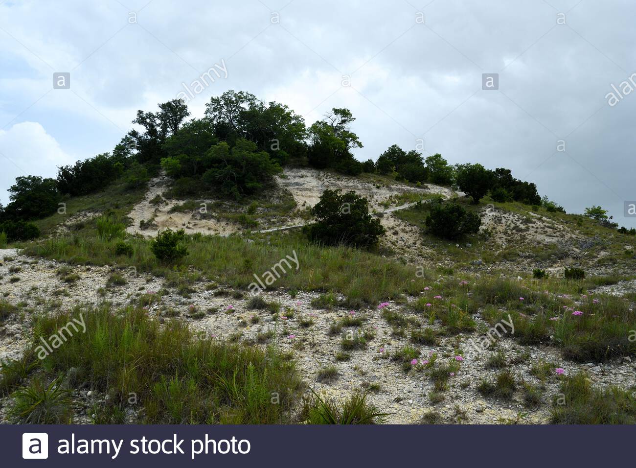 Edwards Mountain High Resolution Stock Photography and Images - Alamy